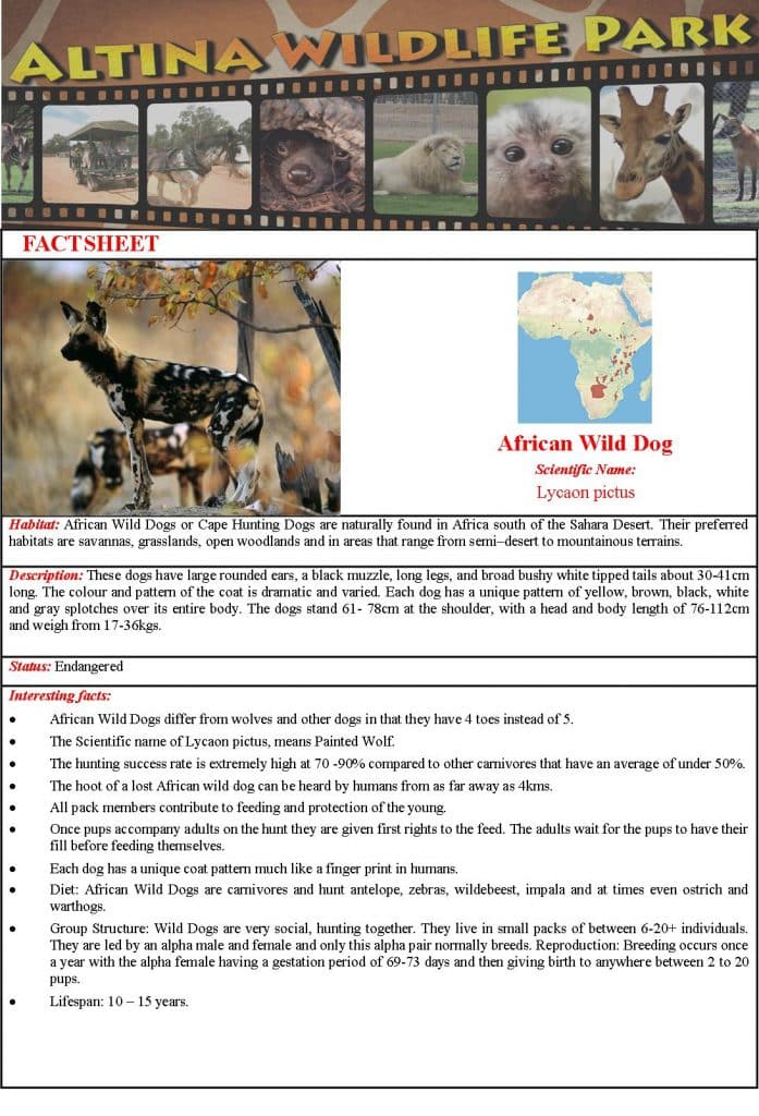 africanwilddogfactsheet - Altina Wildlife Park